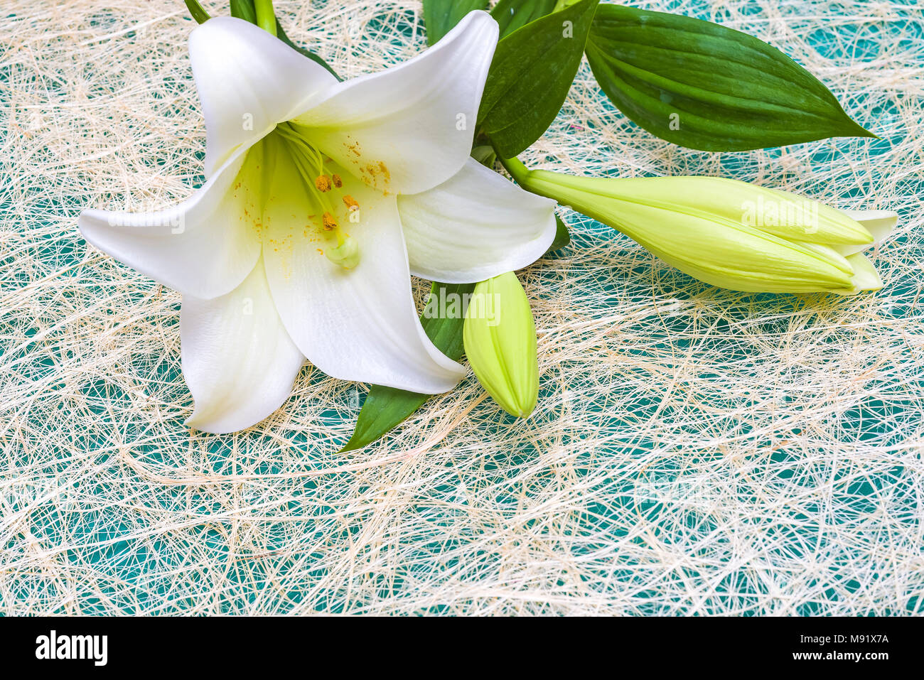 White big flower on a crocheted swipe Stock Photo - Alamy