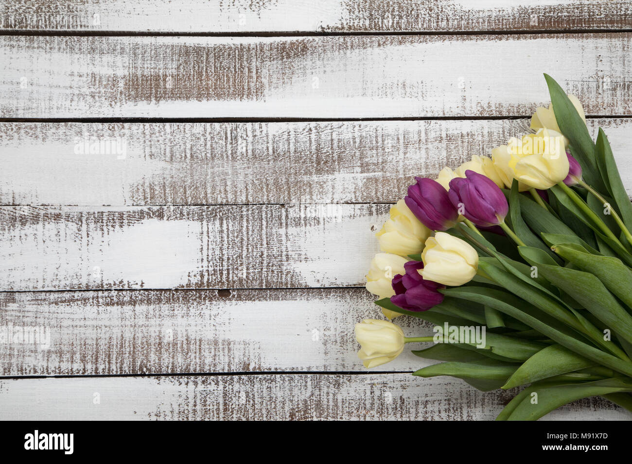Bouquet of tulip flowers on the paper background Stock Photo - Alamy