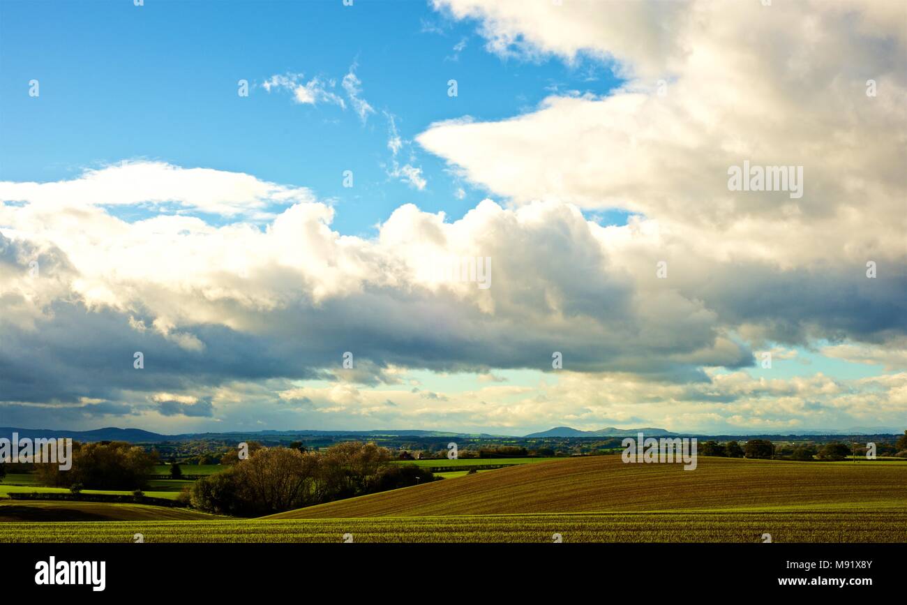 Emerging crops hi-res stock photography and images - Alamy