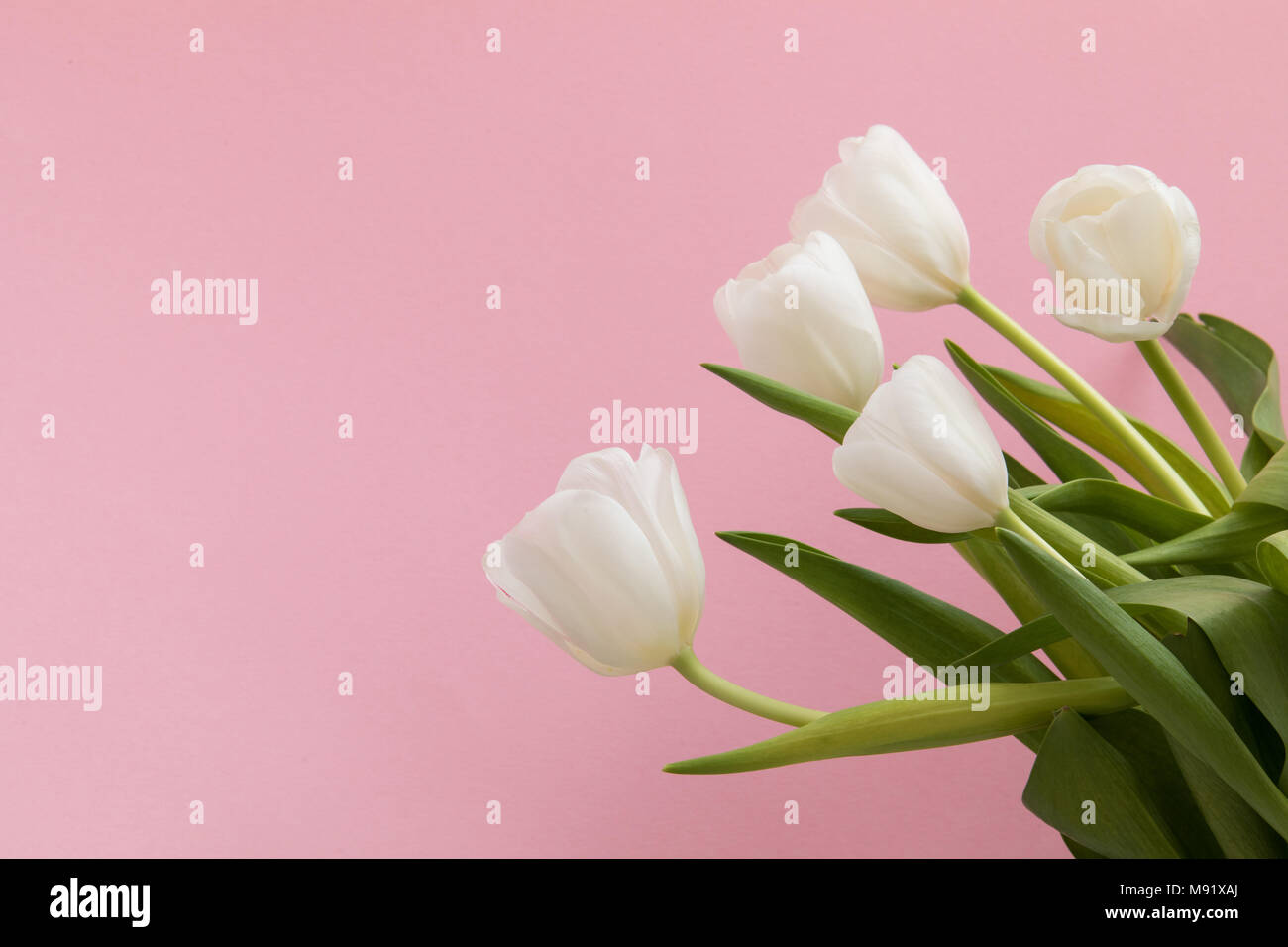 Bouquet of tulip flowers on the paper background Stock Photo - Alamy
