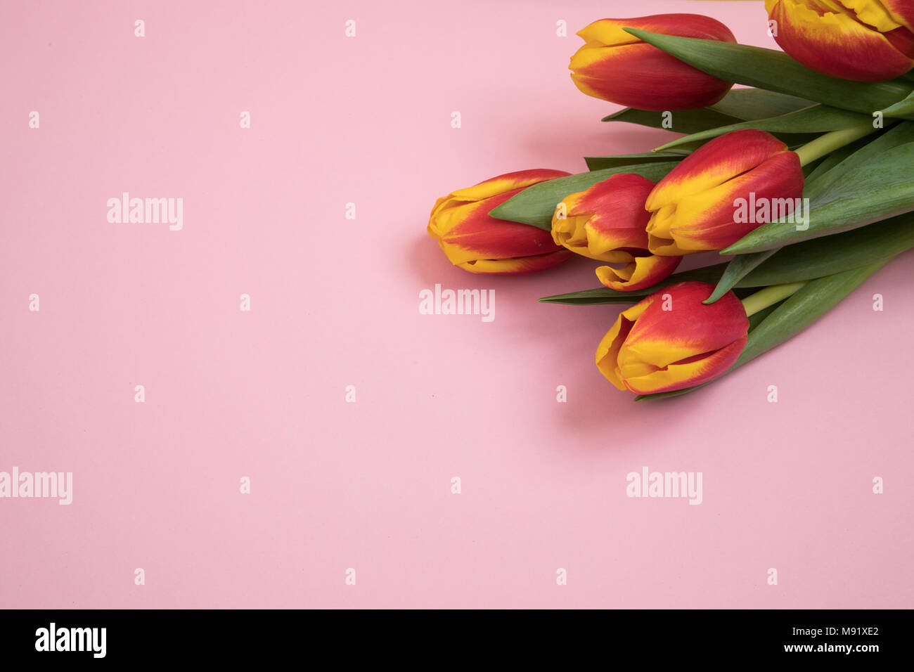 Bouquet of tulip flowers on the paper background Stock Photo - Alamy