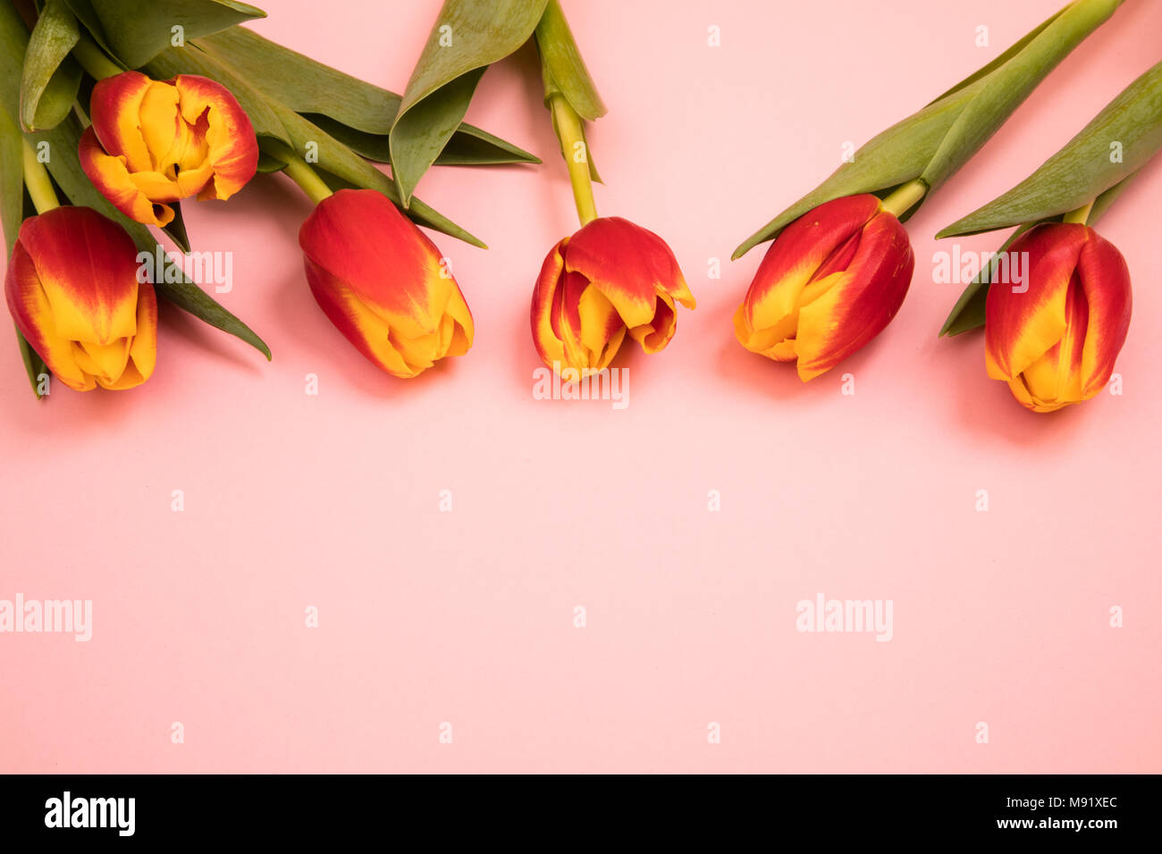 Bouquet of tulip flowers on the paper background Stock Photo - Alamy