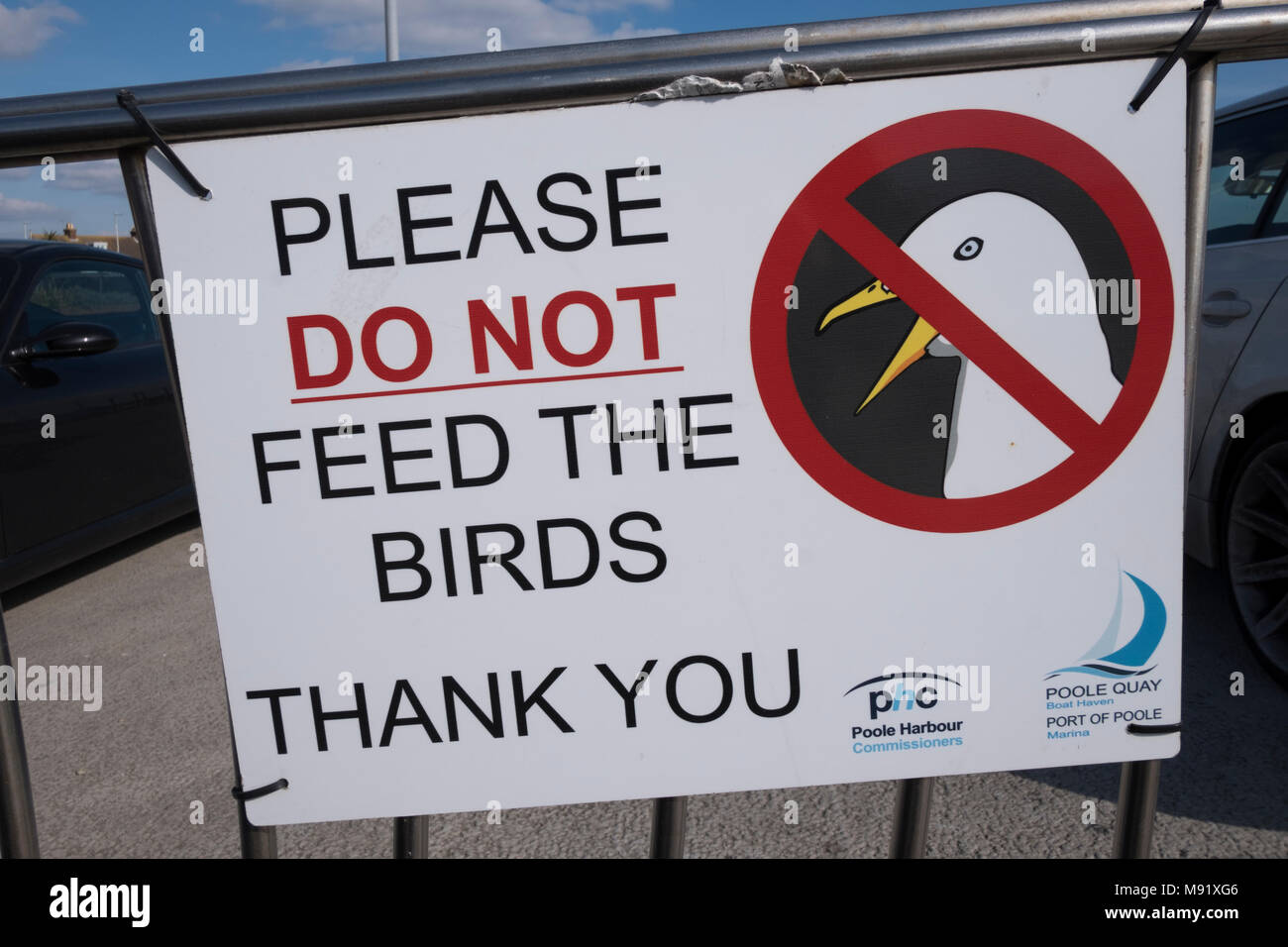 Don't Feed The Seagulls Don't feed the birds sign on Poole Quay Dorset ... Don't Feed The Seagulls Don't feed the birds sign on Poole Quay Dorset ...