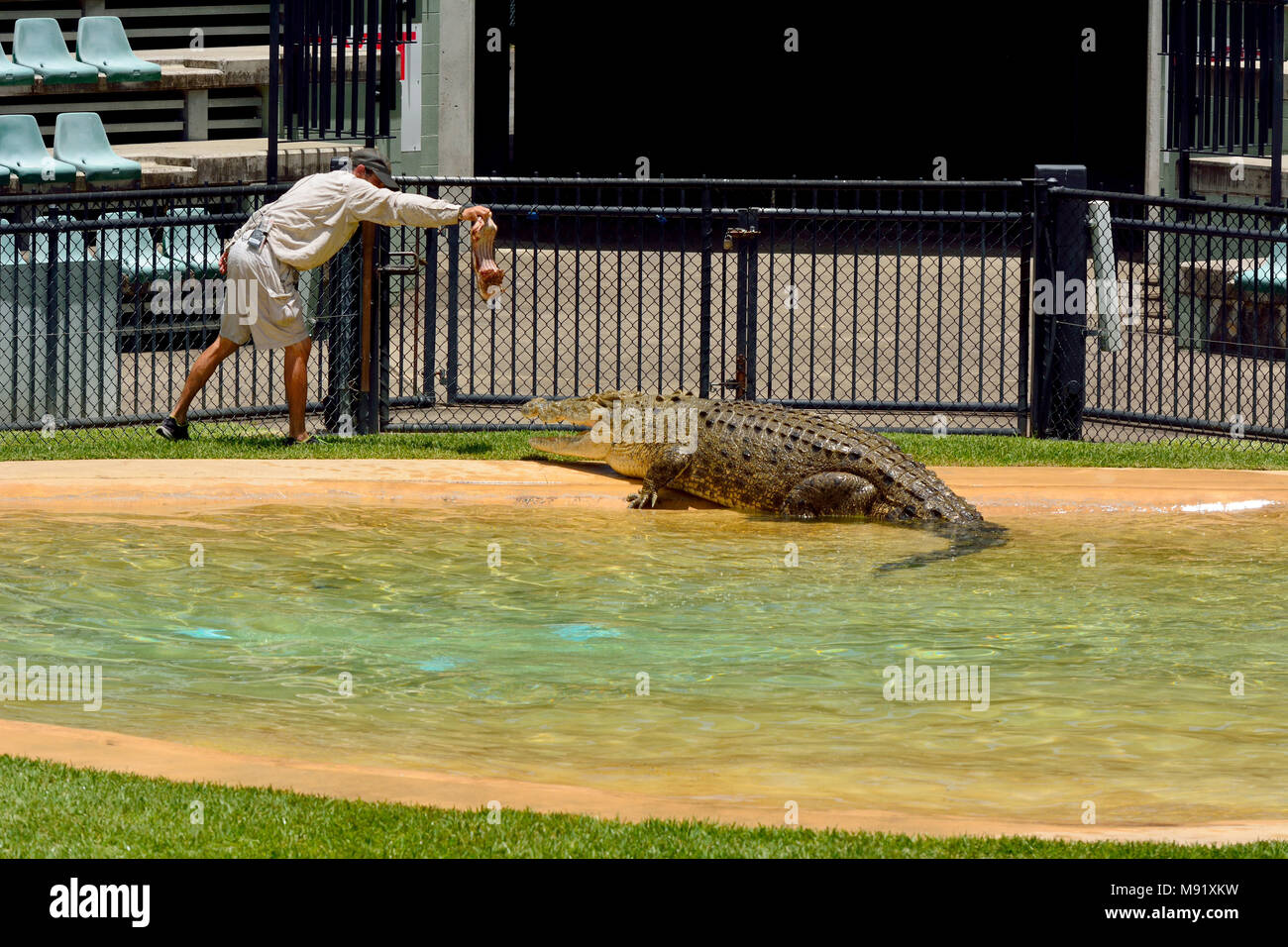 Zoo keeper feeding hi-res stock photography and images - Alamy