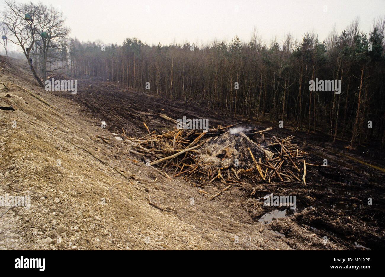 Deforestation, Newbury Bypass Road Building and Protests , Newbury ...