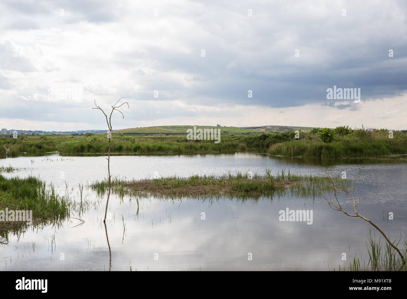 Rainham, UK. 19th May, 2017. Rainham Marshes is an area of medieval ...