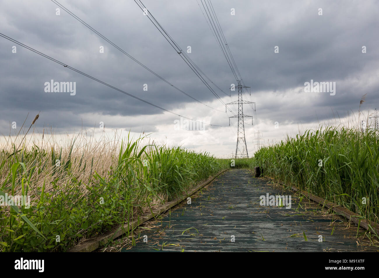 Rainham, UK. 19th May, 2017. Rainham Marshes is an area of medieval ...