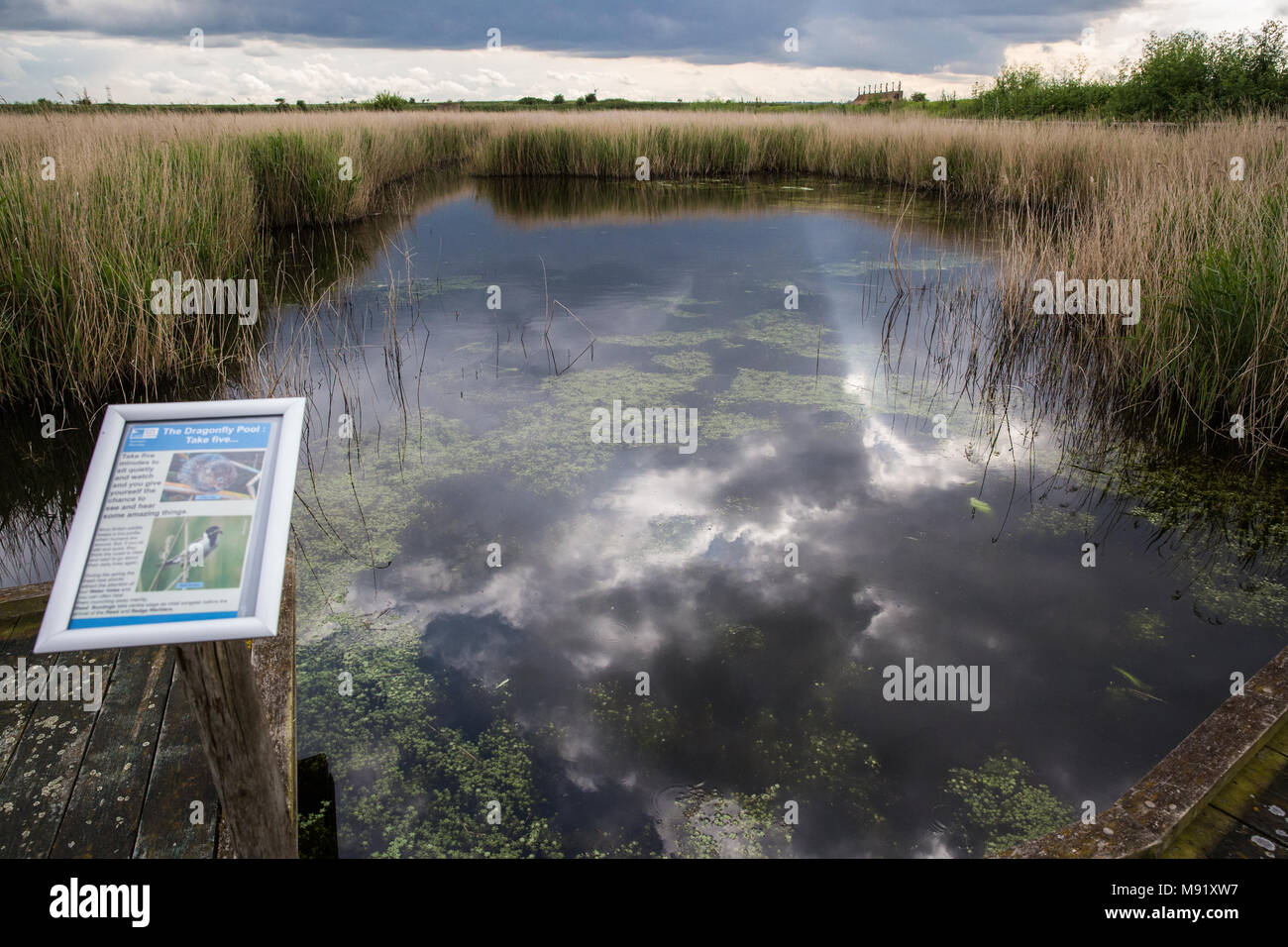 Rainham, UK. 19th May, 2017. Rainham Marshes is an area of medieval ...
