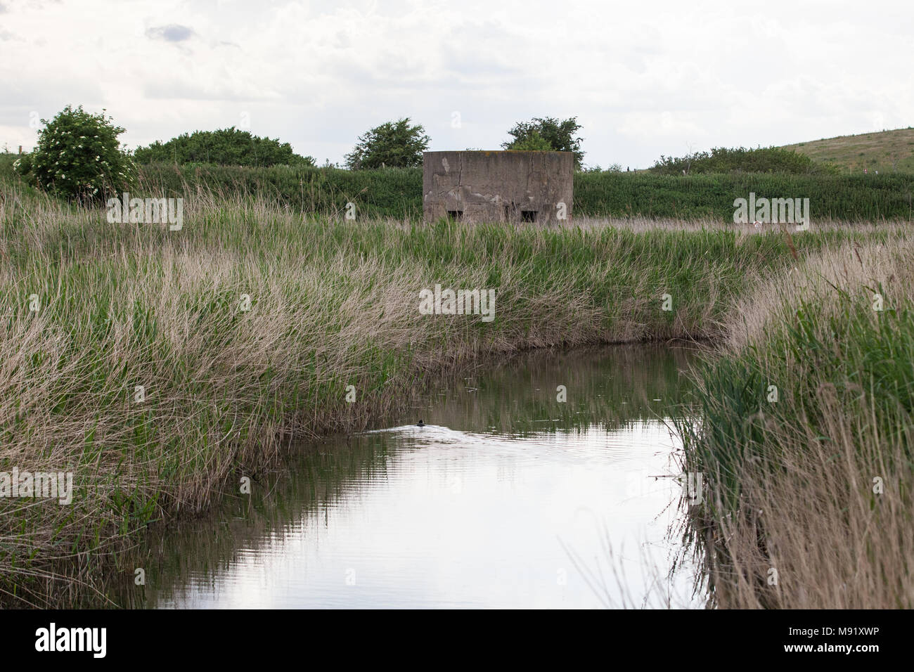 Rainham, UK. 19th May, 2017. Rainham Marshes is an area of medieval ...