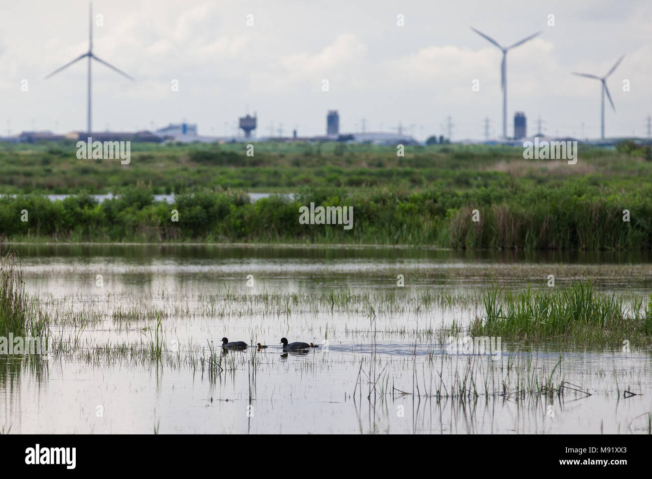 Thames rainham hi-res stock photography and images - Alamy