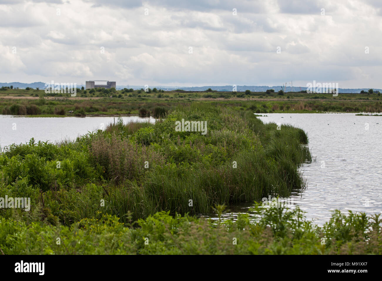 Thames Marshes Stock Photos & Thames Marshes Stock Images - Alamy
