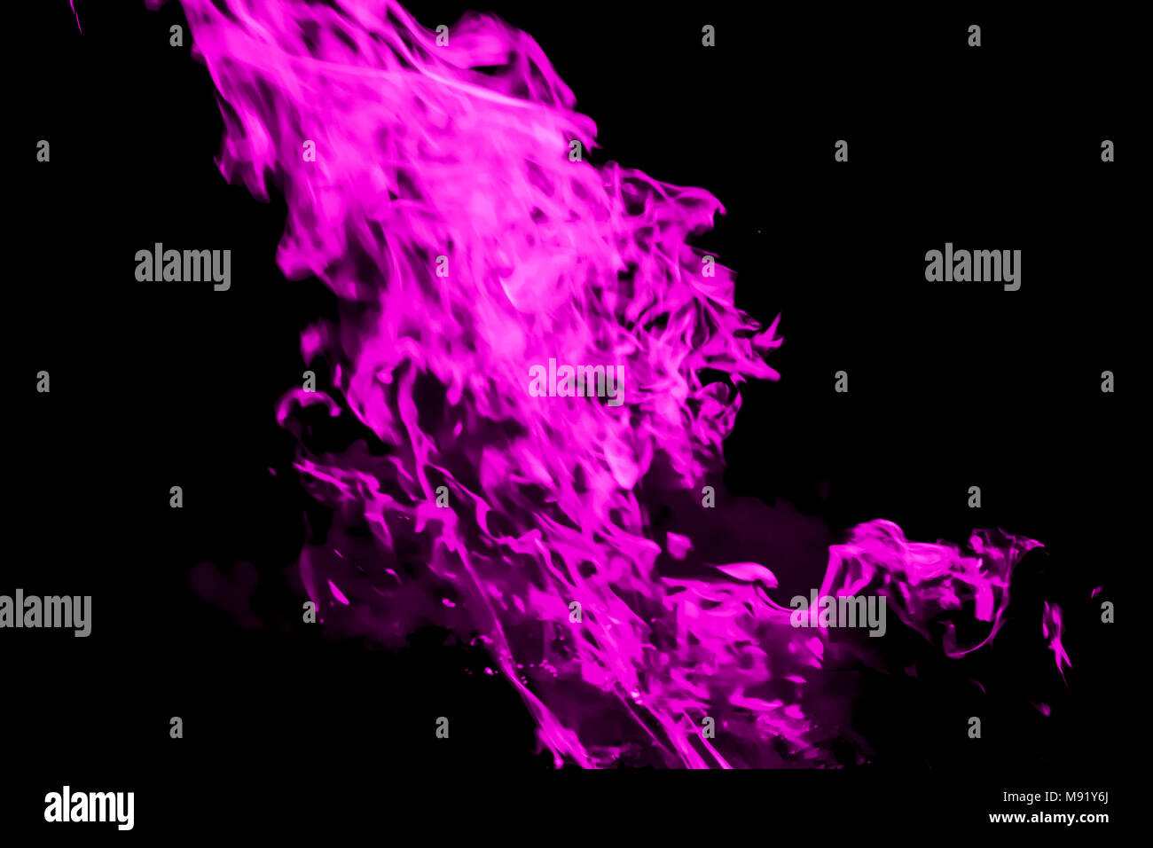 Violet flame. Fire. Burning of rice straw at night Stock Photo - Alamy