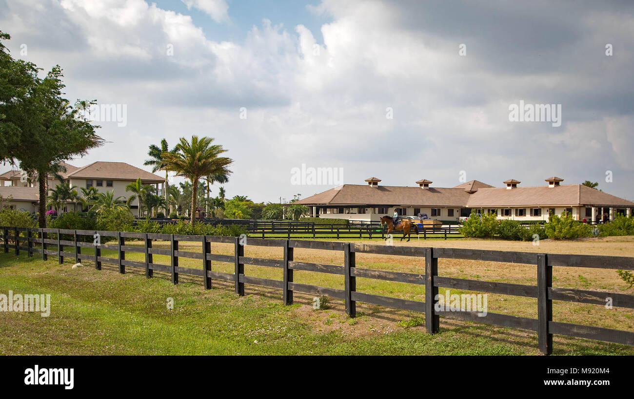 Wellington florida stables hi-res stock photography and images - Alamy