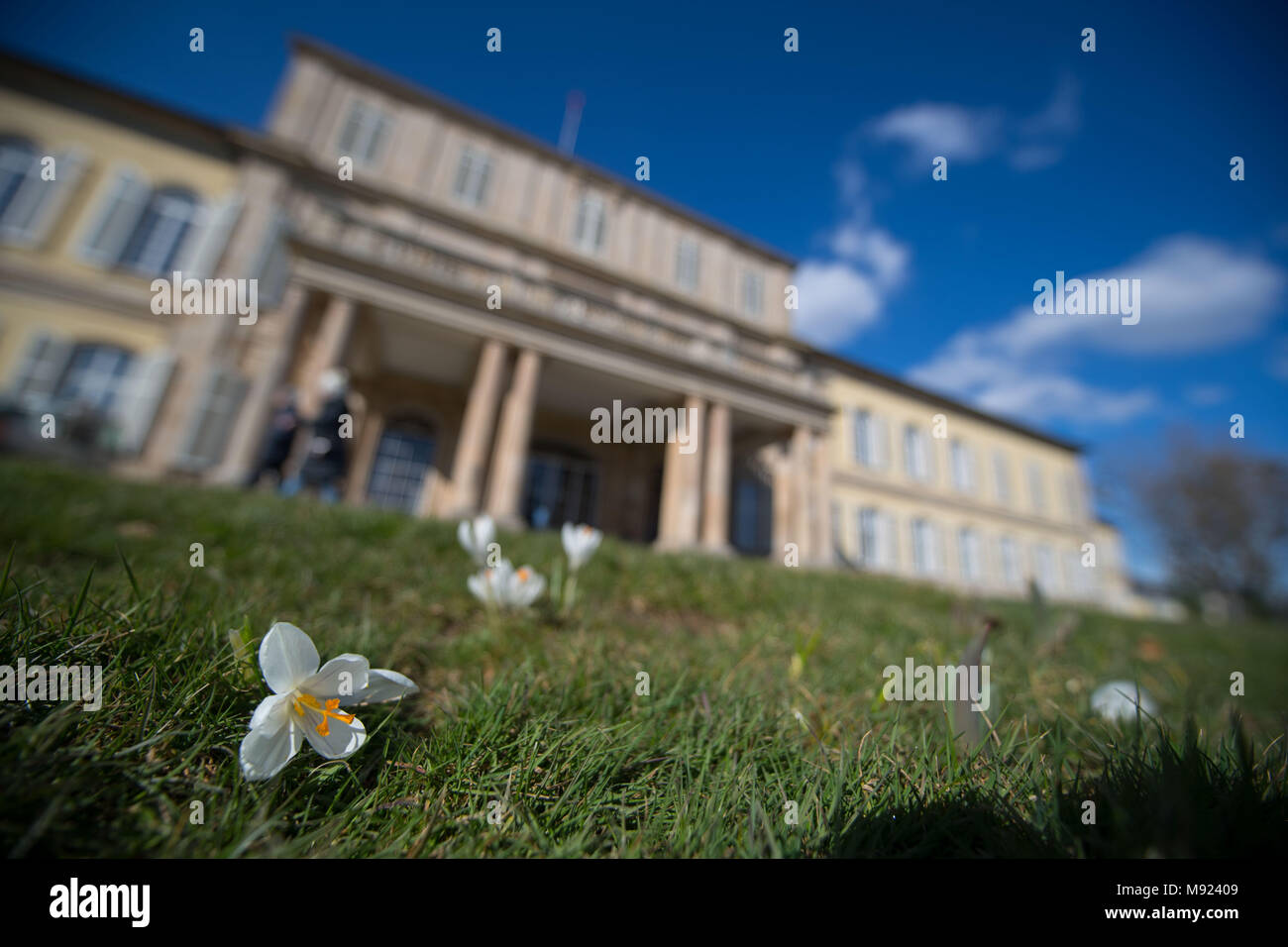 Hohenheim palace hi-res stock photography and images - Alamy