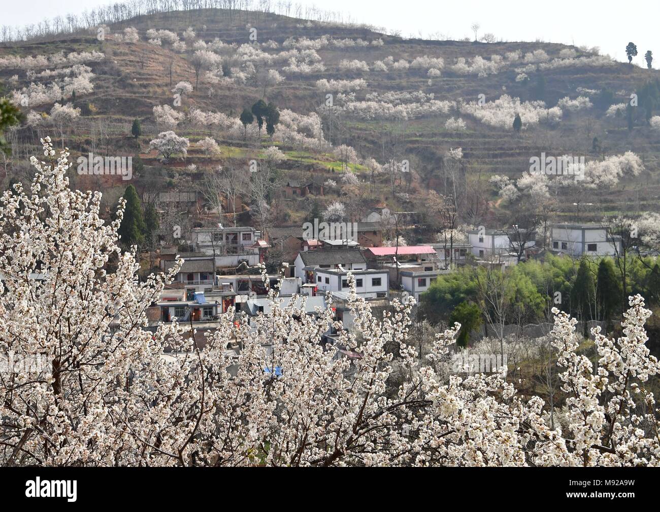 Fengtu County