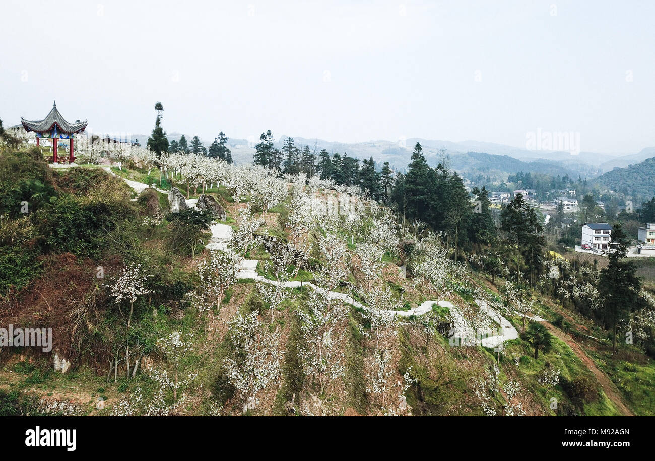 Fuquan. 22nd Mar, 2018. Aerial photo taken on March 22, 2018 shows pear ...