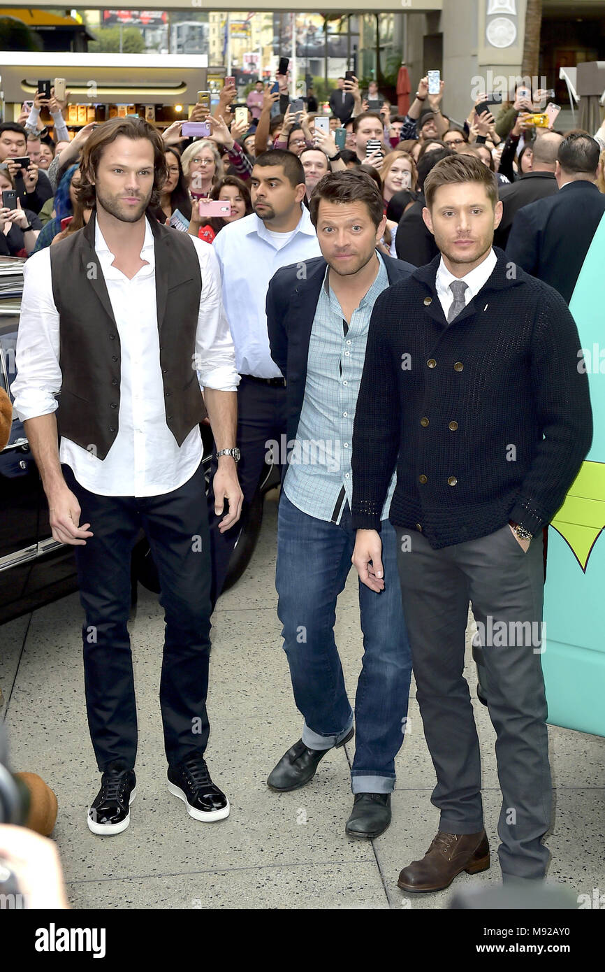 Jared collins hi-res stock photography and images - Alamy