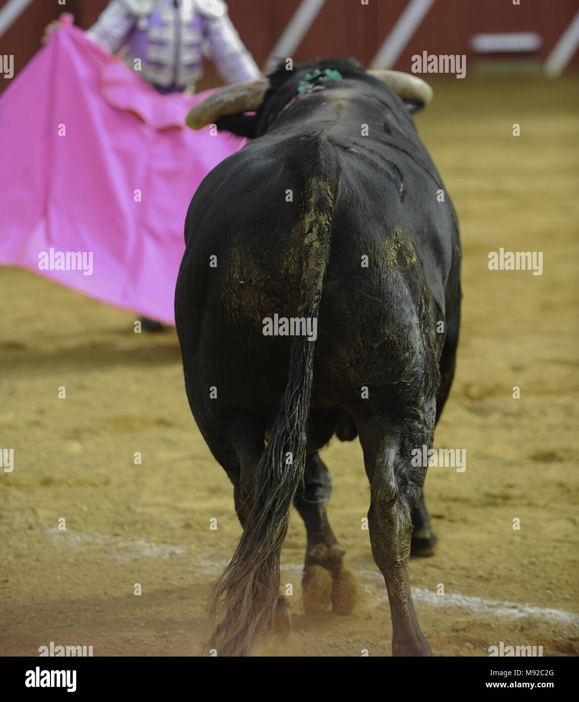 Bullfighter cape hi-res stock photography and images - Alamy