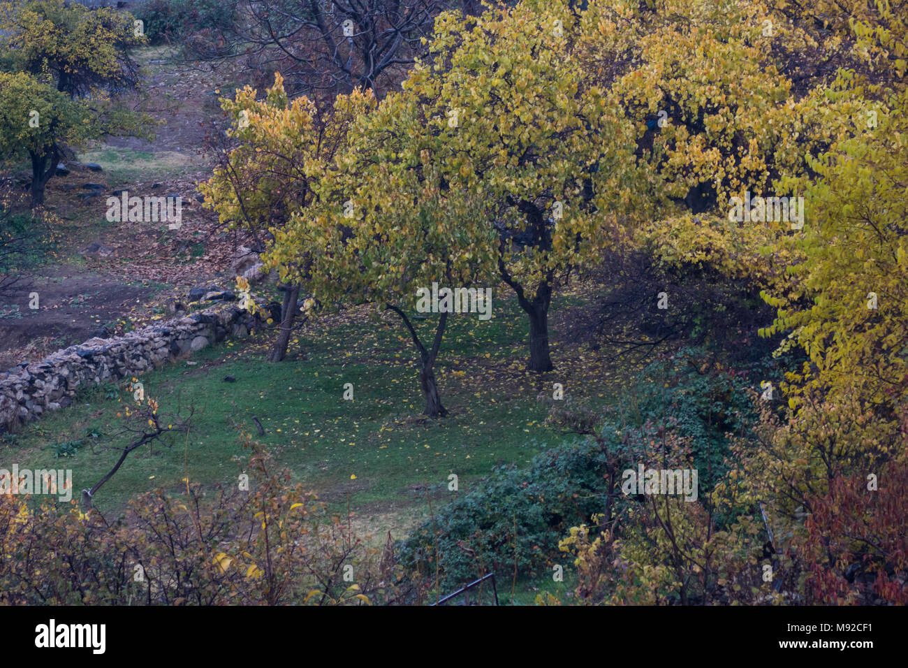 Fall nostalgia hi-res stock photography and images - Alamy