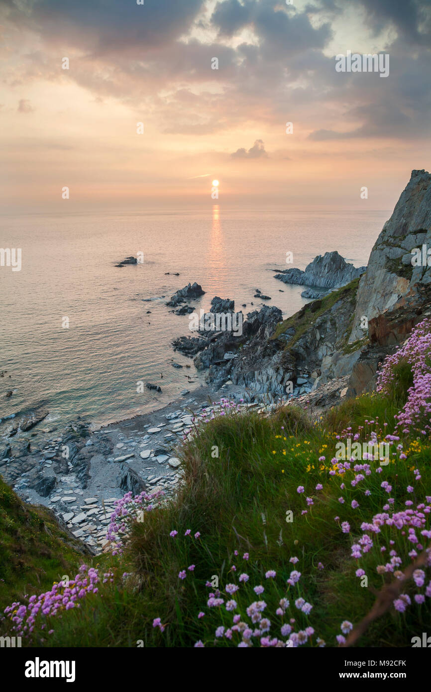 Sunset at Rockham Bay, Mortehoe, Woolacombe, Uk Stock Photo - Alamy