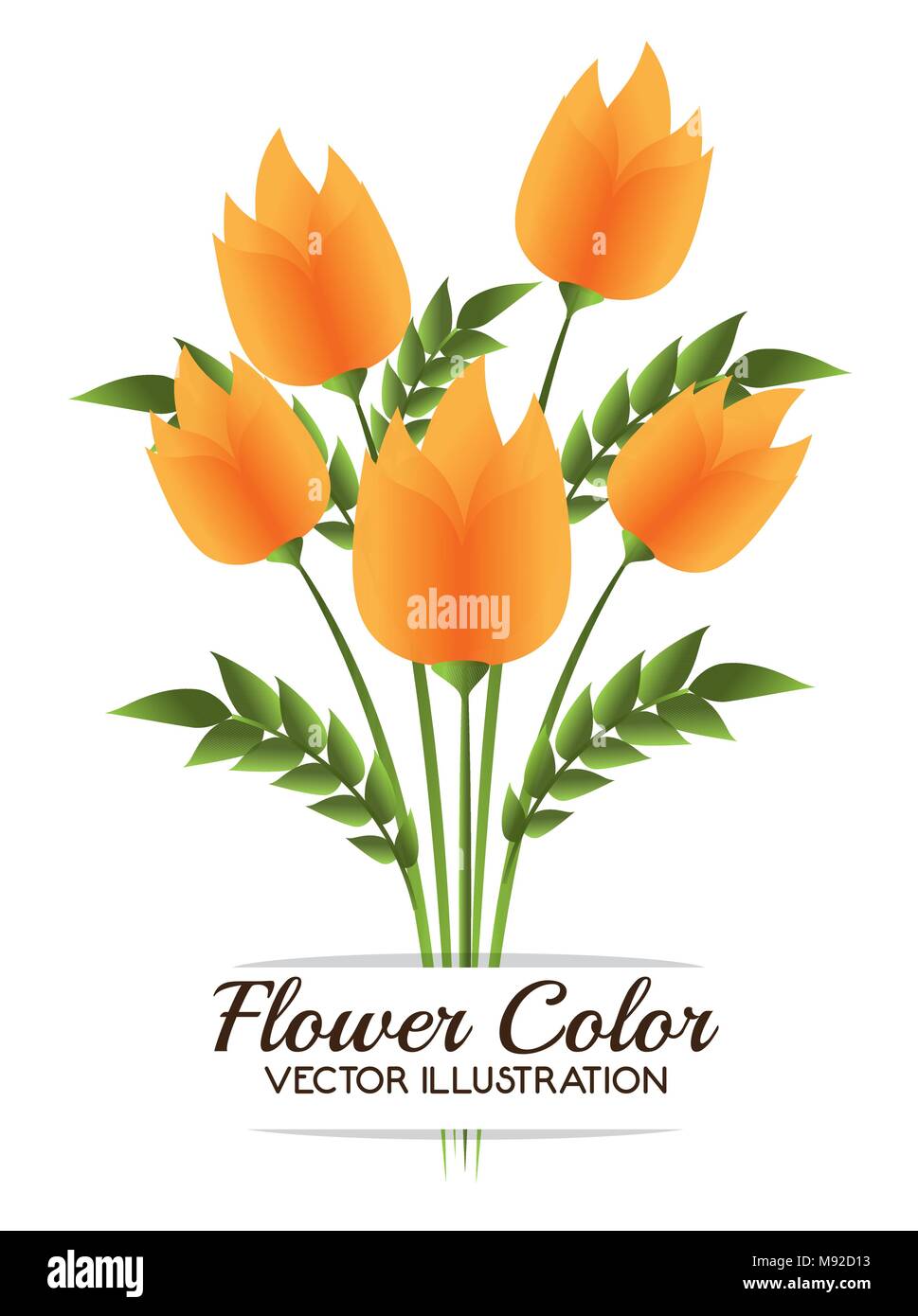 flower color design Stock Vector Image & Art - Alamy