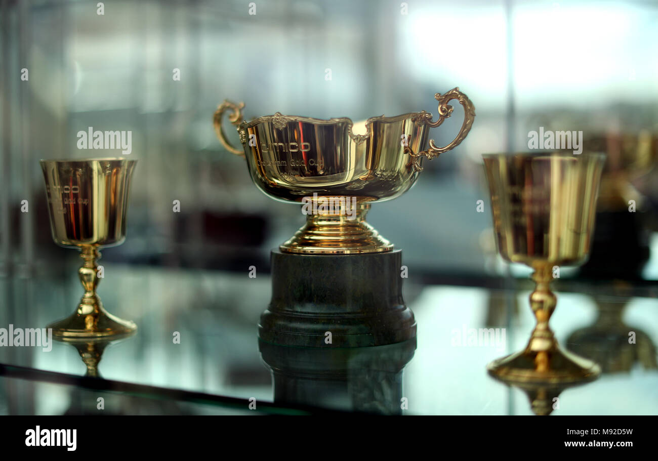 The Gold Cup on display during Gold Cup Day of the 2018 Cheltenham ...