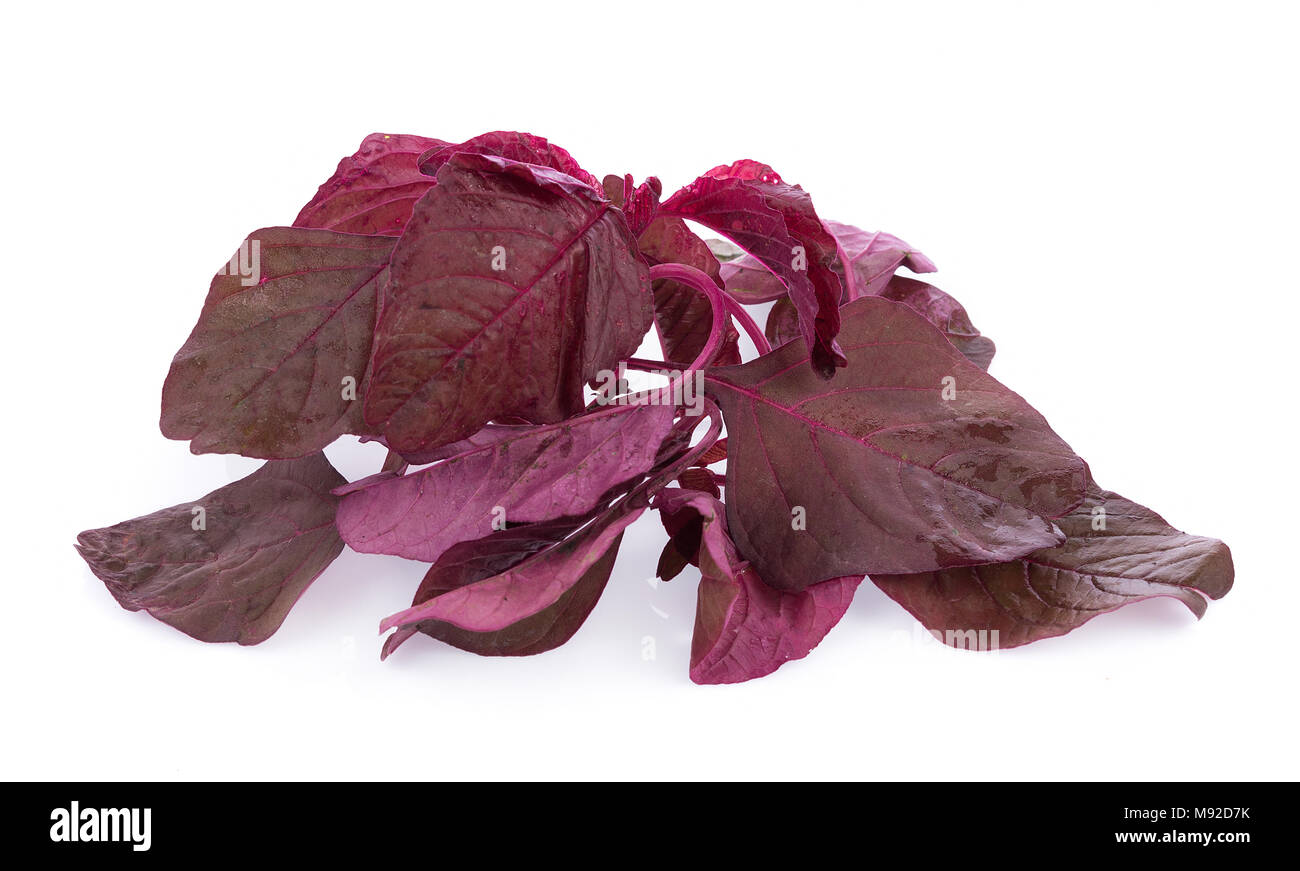 red spinach isolated on white background Stock Photo - Alamy