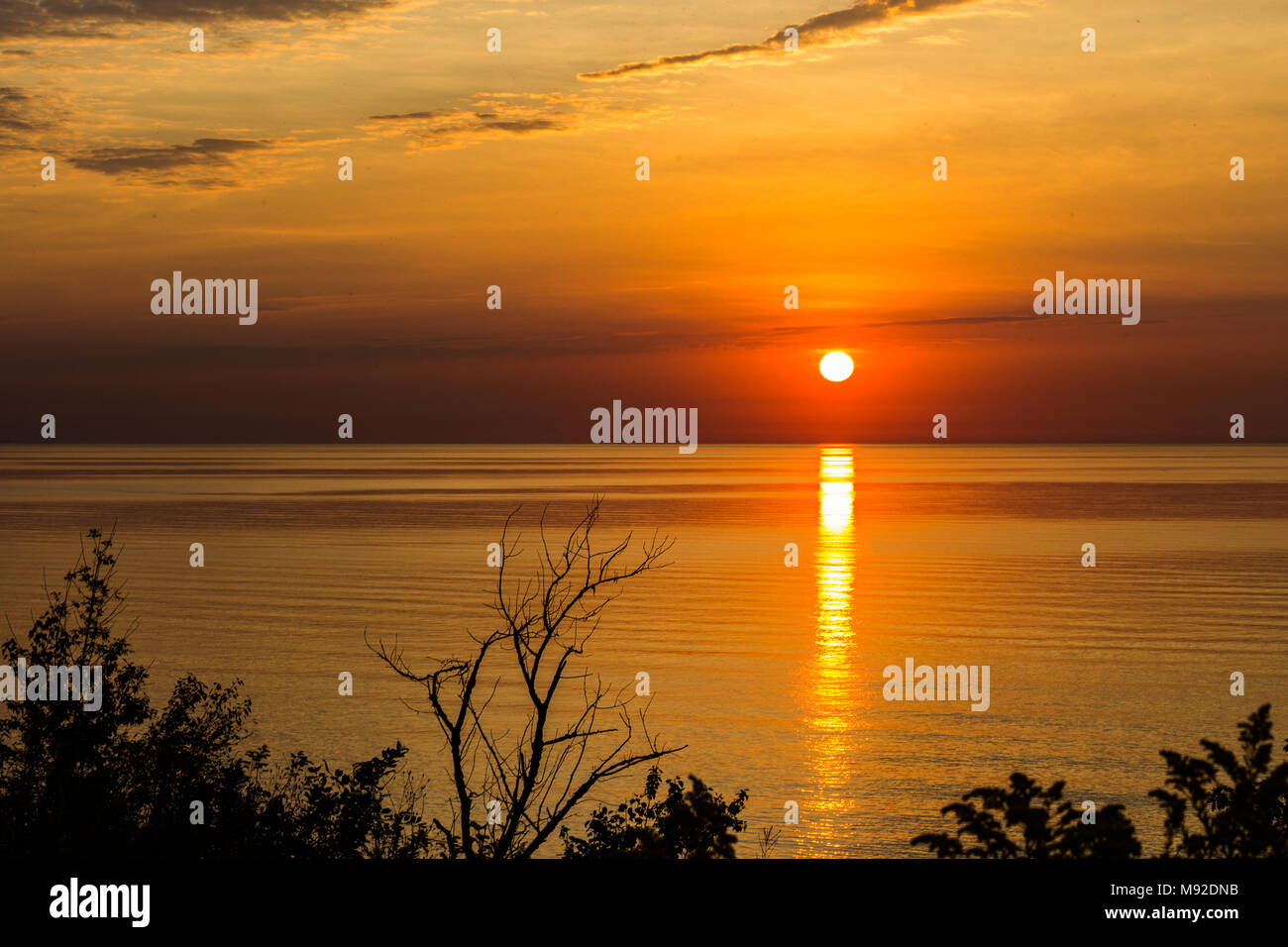 Sunrise at Veteran's Park Gardens Ajax 3 Stock Photo - Alamy Sunrise at Veteran's Park Gardens Ajax 3 Stock Photo - Alamy