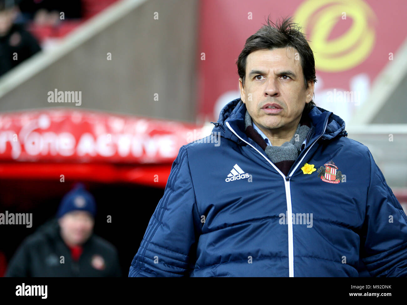 Sunderland manager Chris Coleman Stock Photo - Alamy