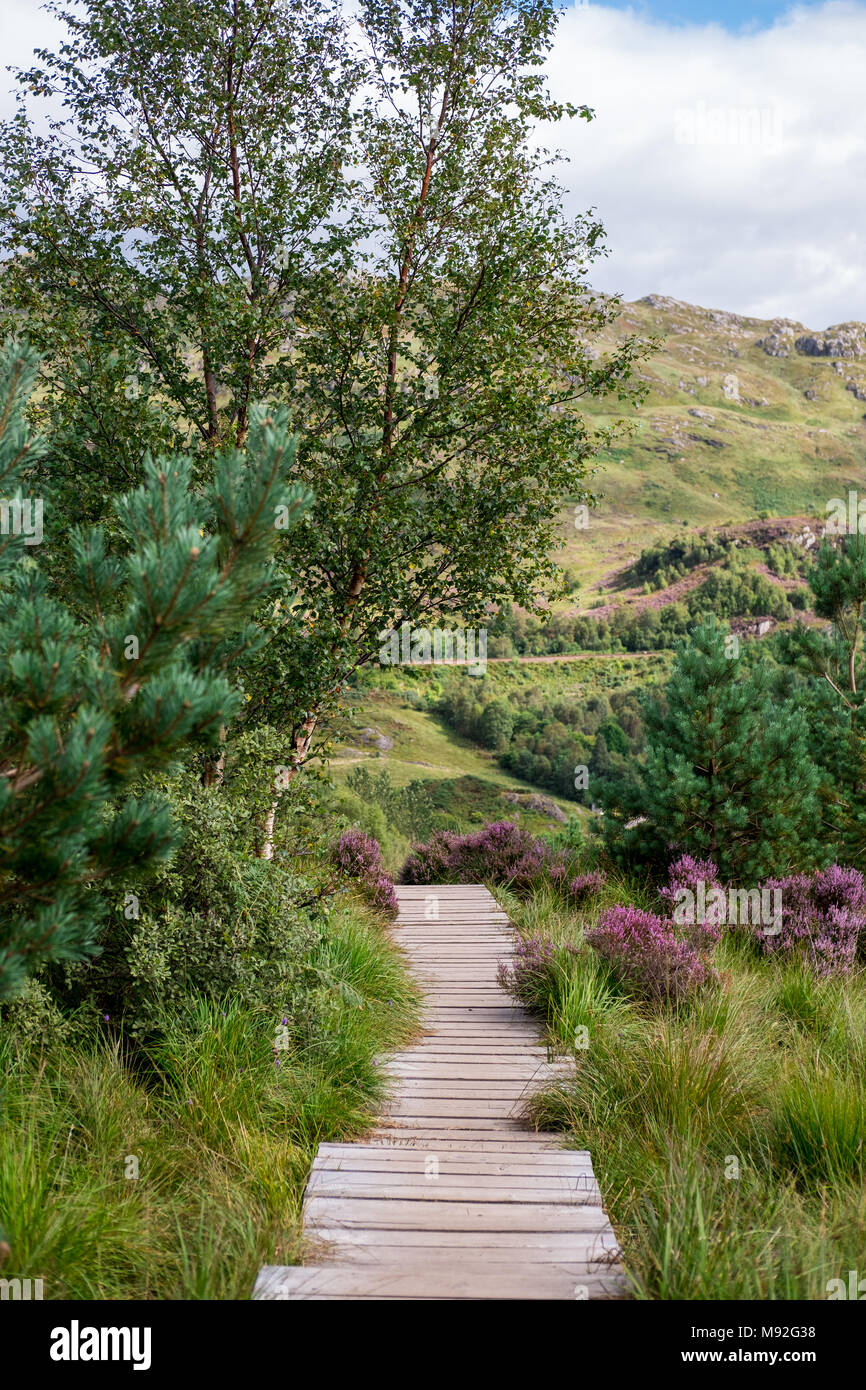 Scenic Landscape View of Mountain, Forest with path in Scottish ...