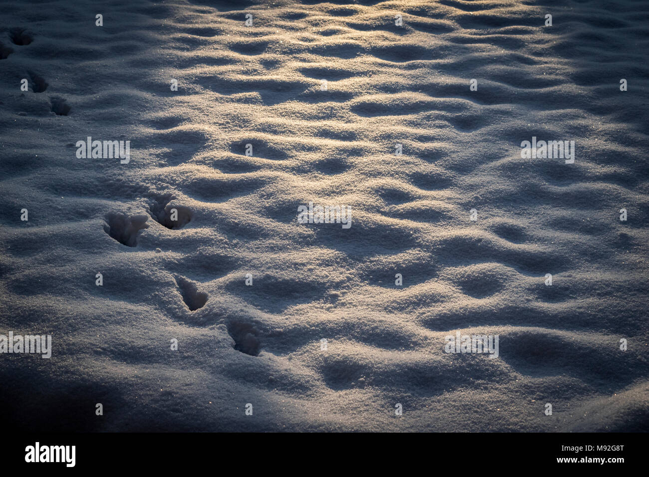 Garden shadows hi-res stock photography and images - Alamy