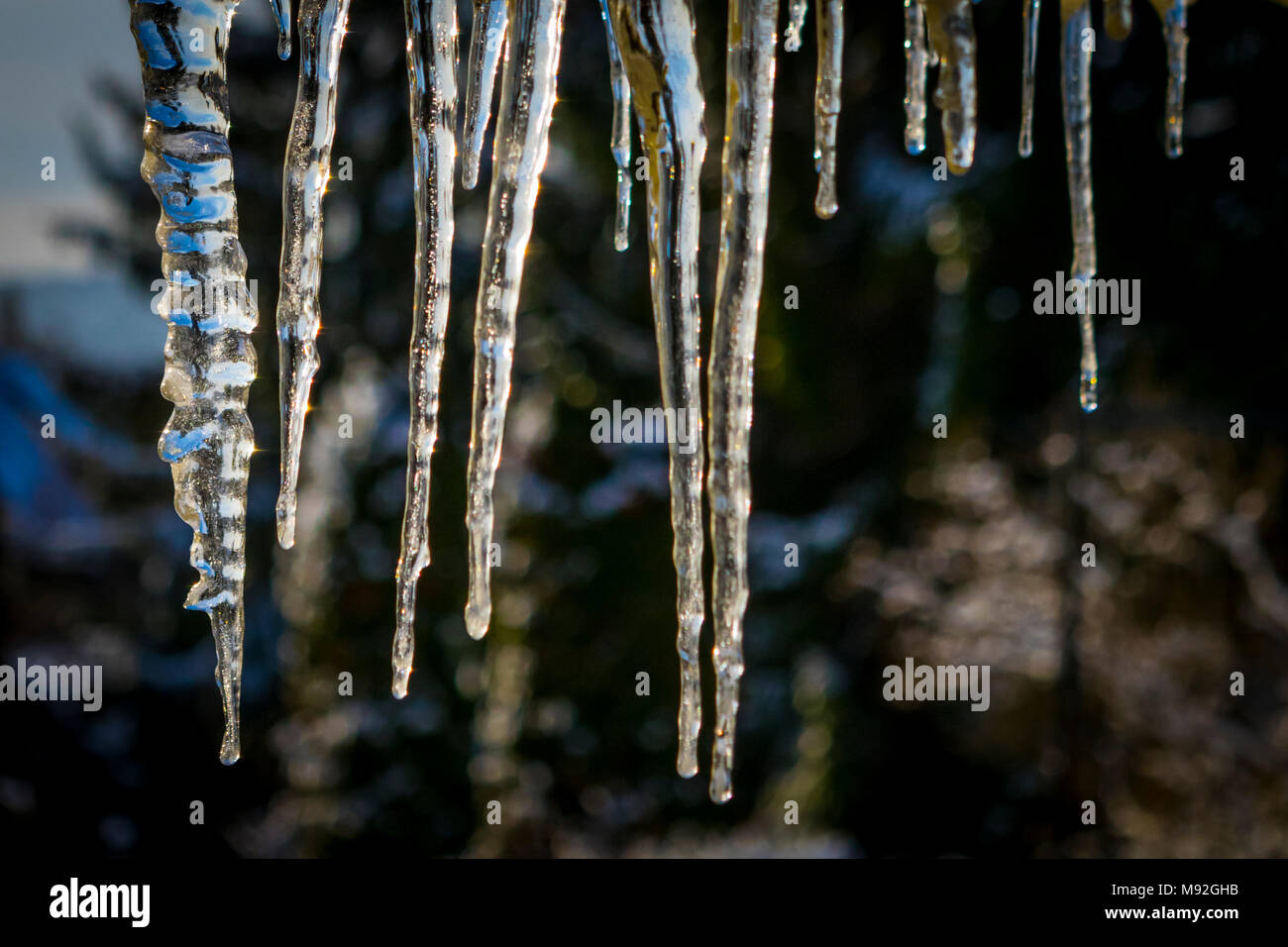 Sunny winter morning hi-res stock photography and images - Alamy