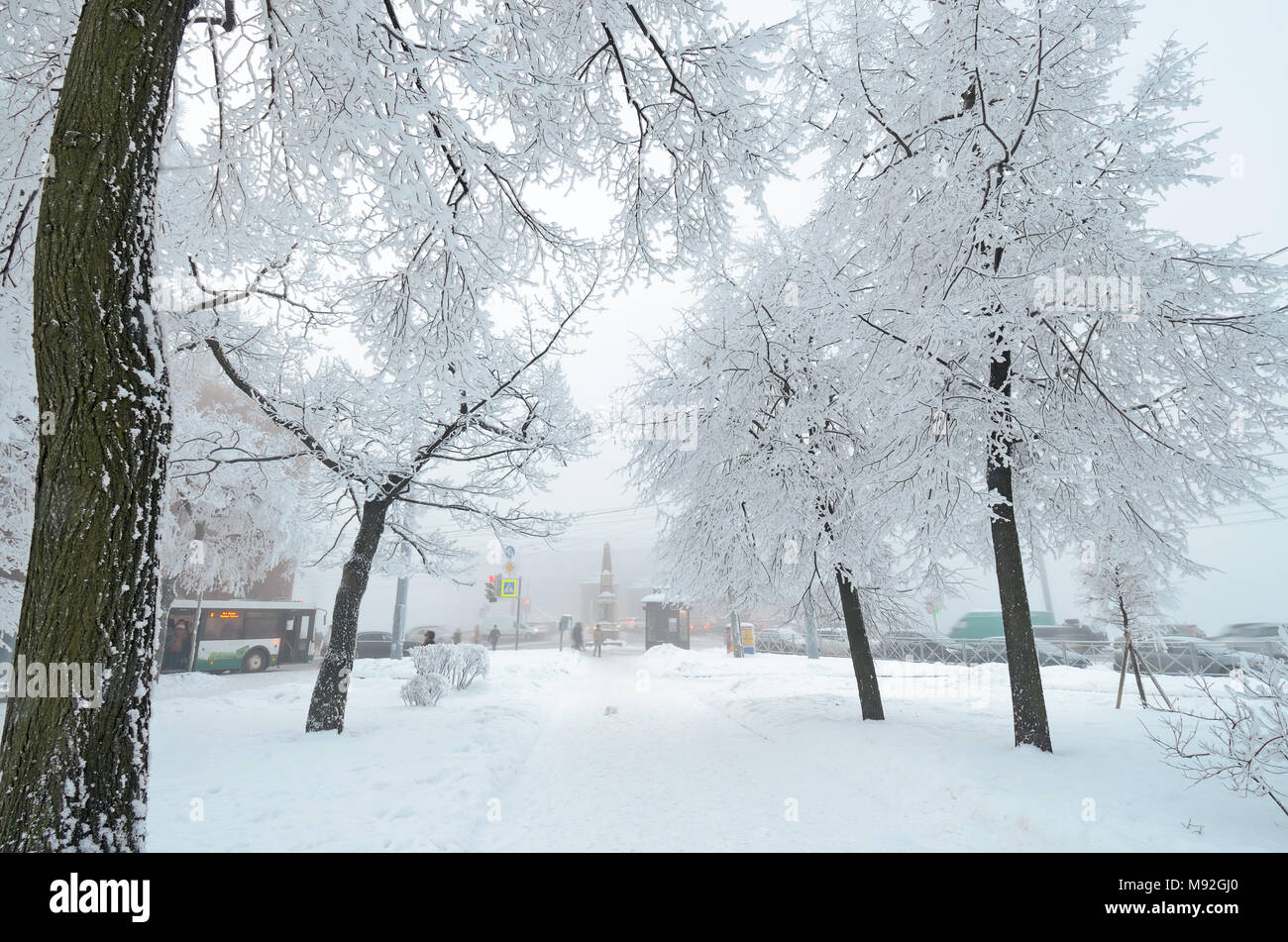 Snow-white winter in the city.The trees are covered with bright snow ...