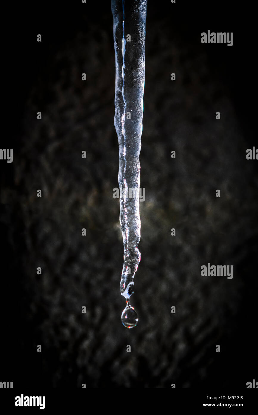 Melting icicle at the sunny winter morning. Large melting icicle on a ...