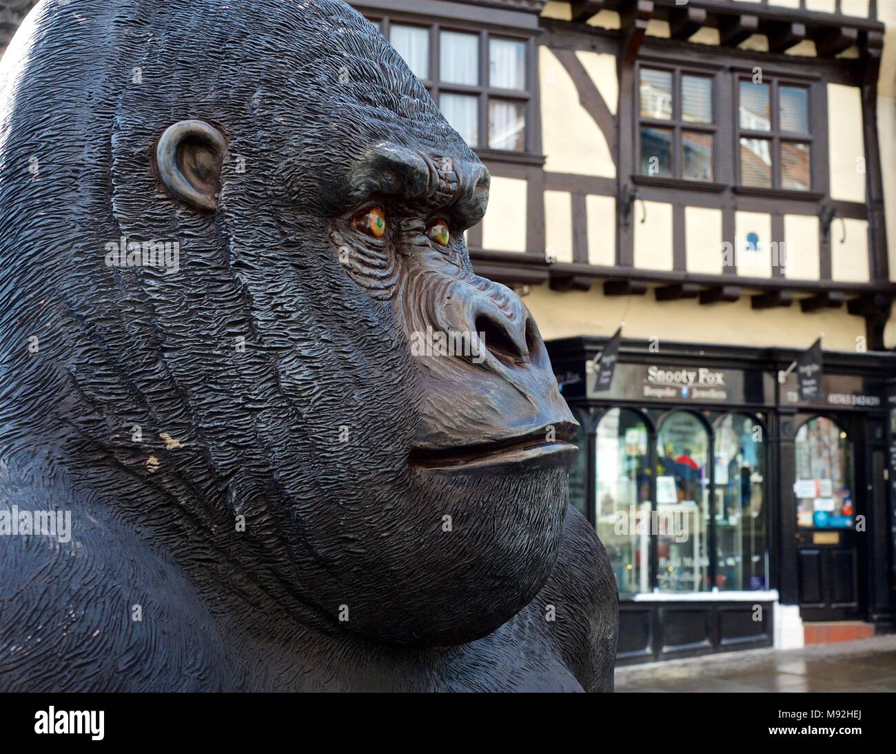 Shrewsbury, Shropshire, England, WildCop event featuring life size ...
