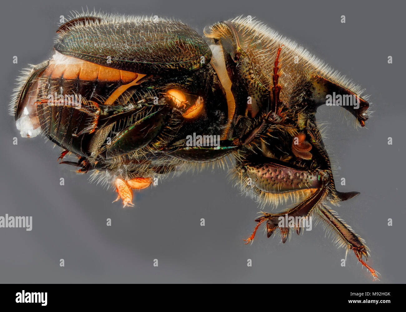 West virginia hi hi-res stock photography and images - Alamy