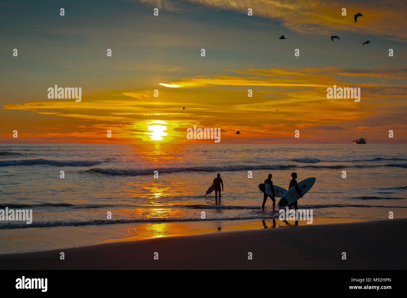 Surfing Group Sunset Stock Photo - Alamy