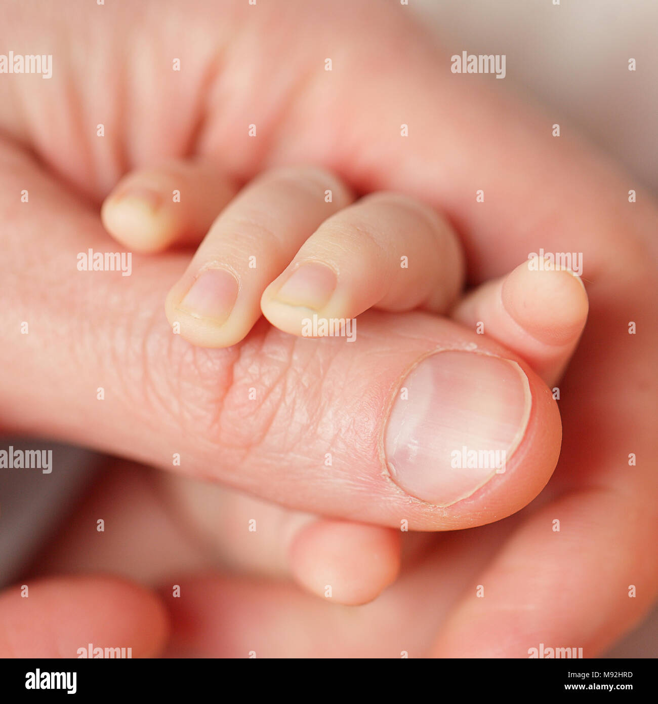 Hands touching macro hi-res stock photography and images - Alamy
