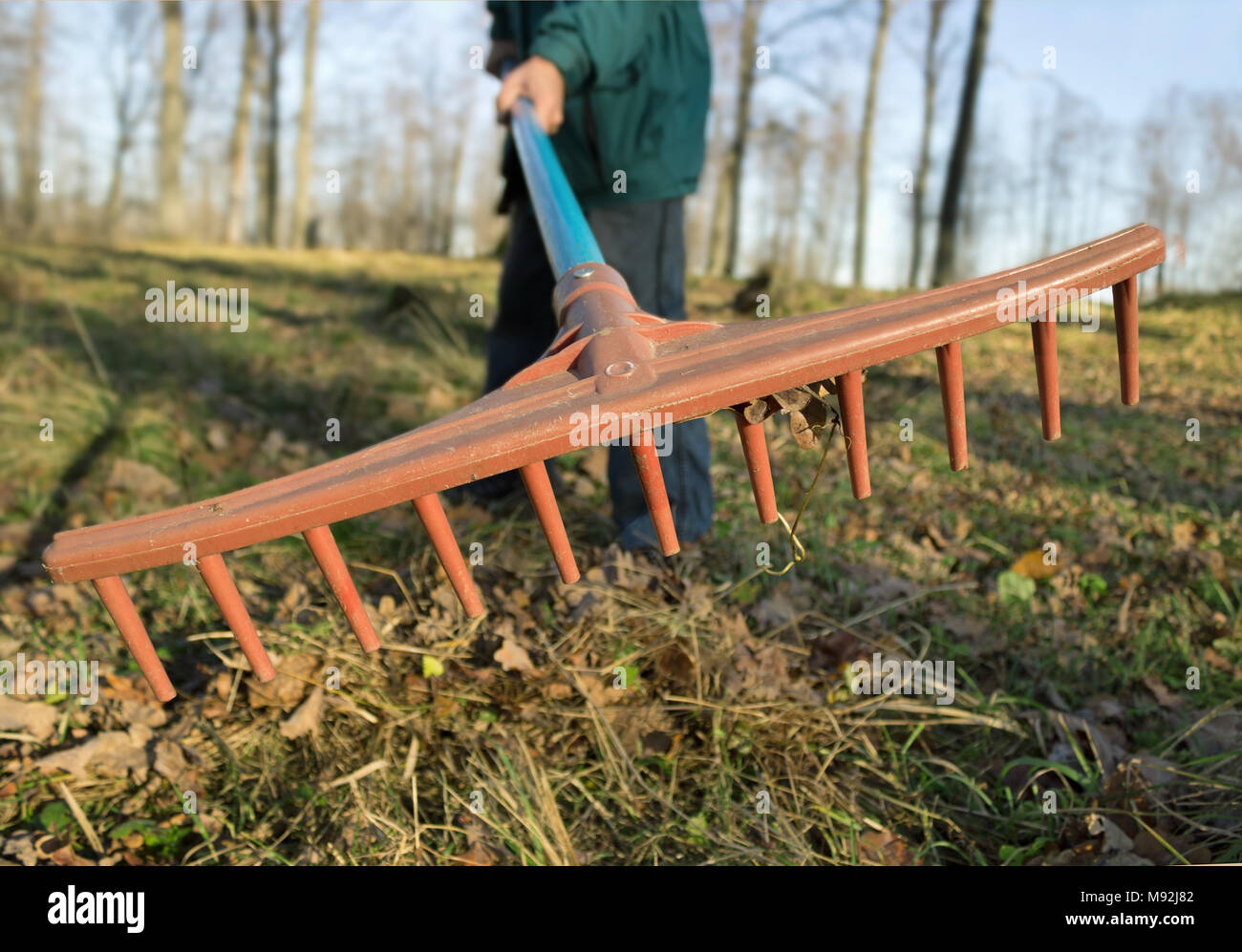 Bringing order in the Park in autumn Stock Photo - Alamy