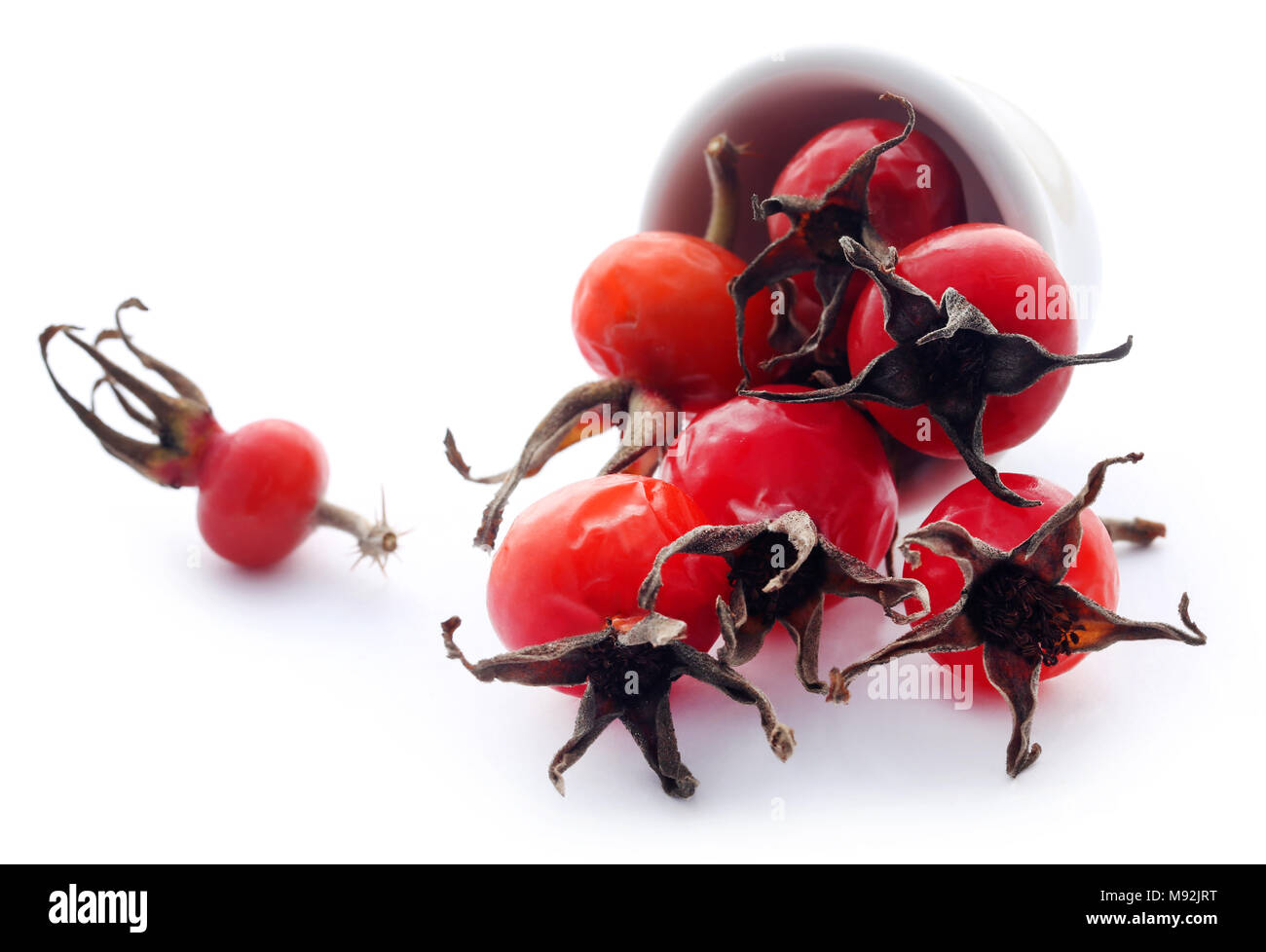 Beach roses Cut Out Stock Images & Pictures - Alamy