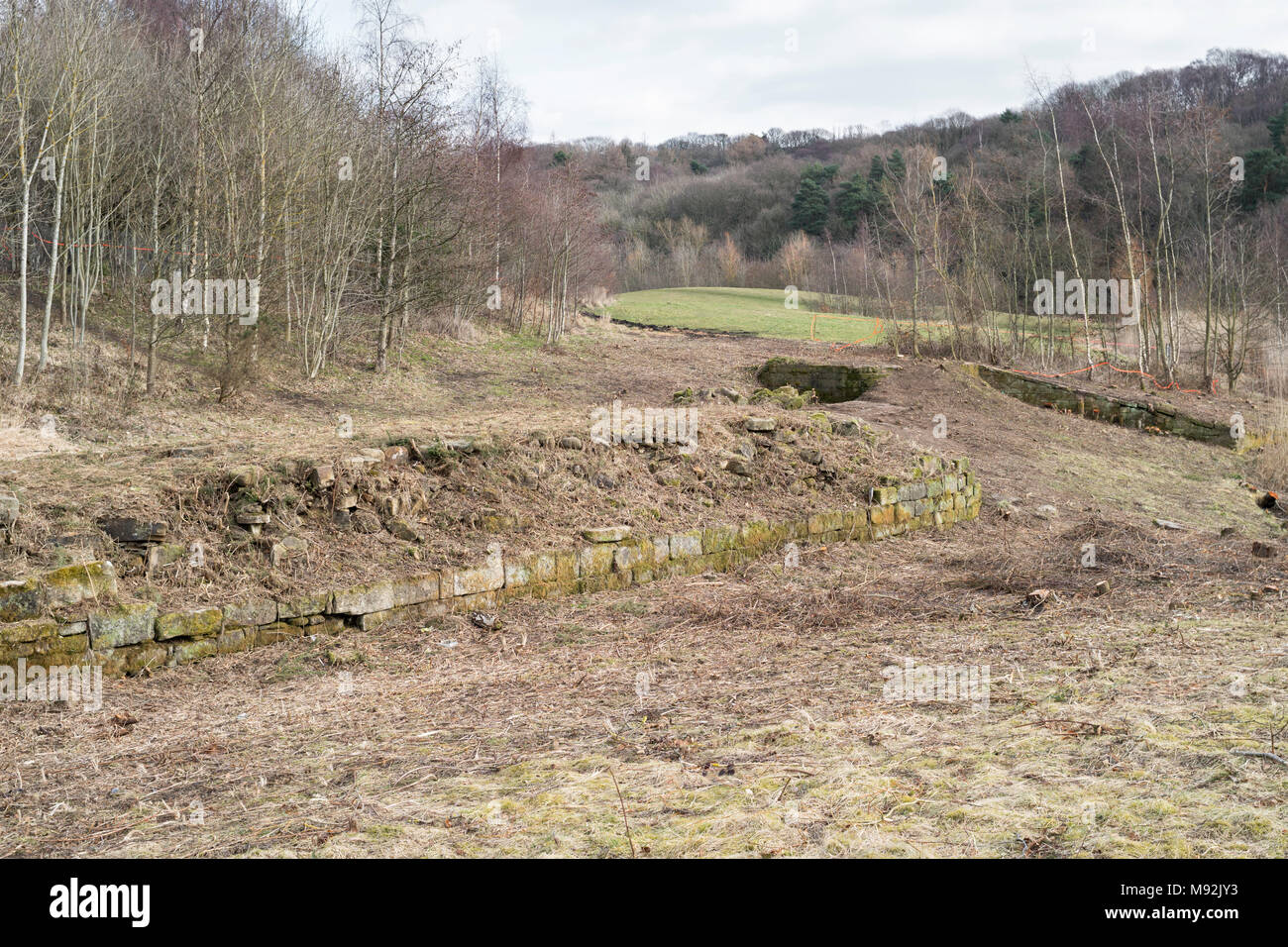 The remains of Crowley’s 18th century Iron Works in Derwenthaugh Park ...
