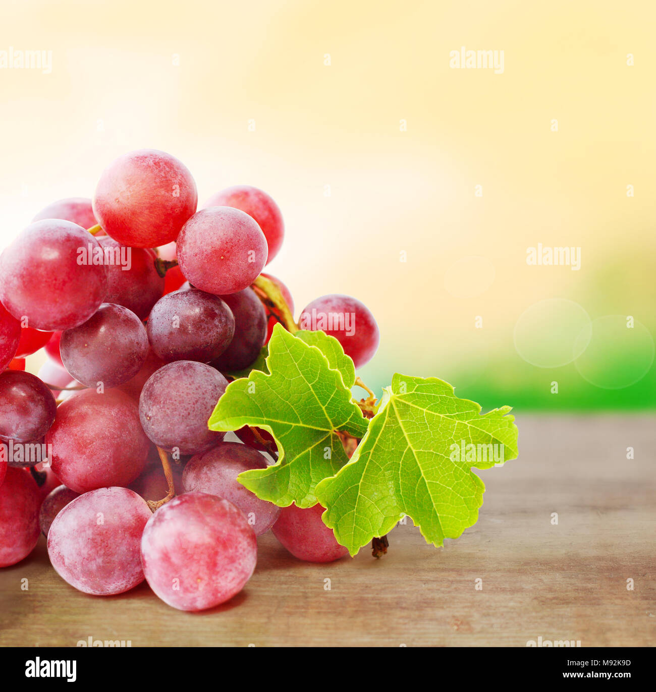 Grape on blurred nature background with copyspace Stock Photo - Alamy