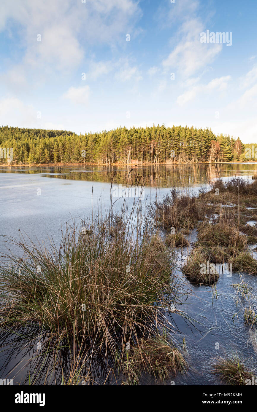 Uath Lochan at Glen Feshie in the Cairngorms National Park of Scotland ...