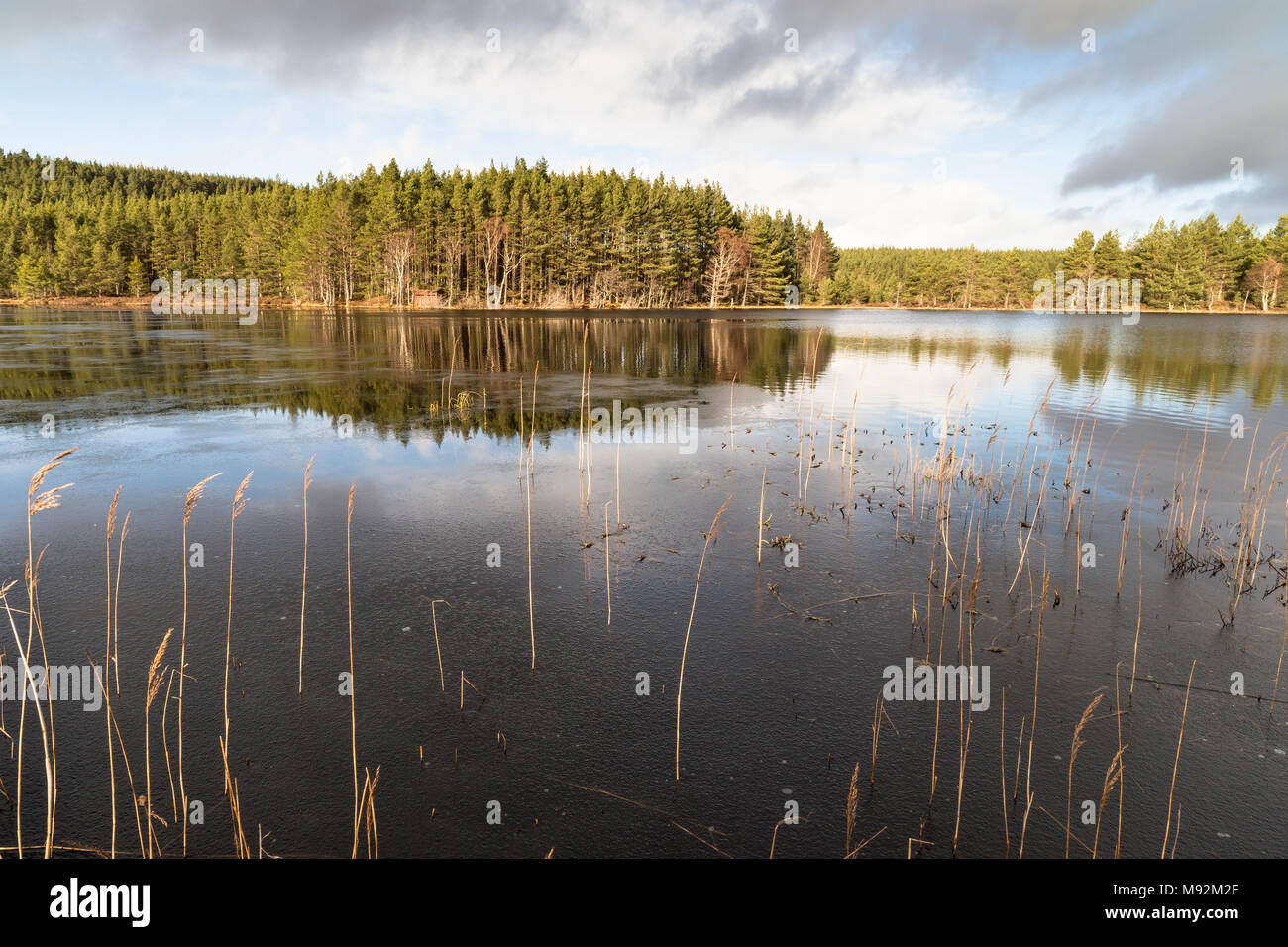 Uath Lochan at Glen Feshie in the Cairngorms National Park of Scotland ...
