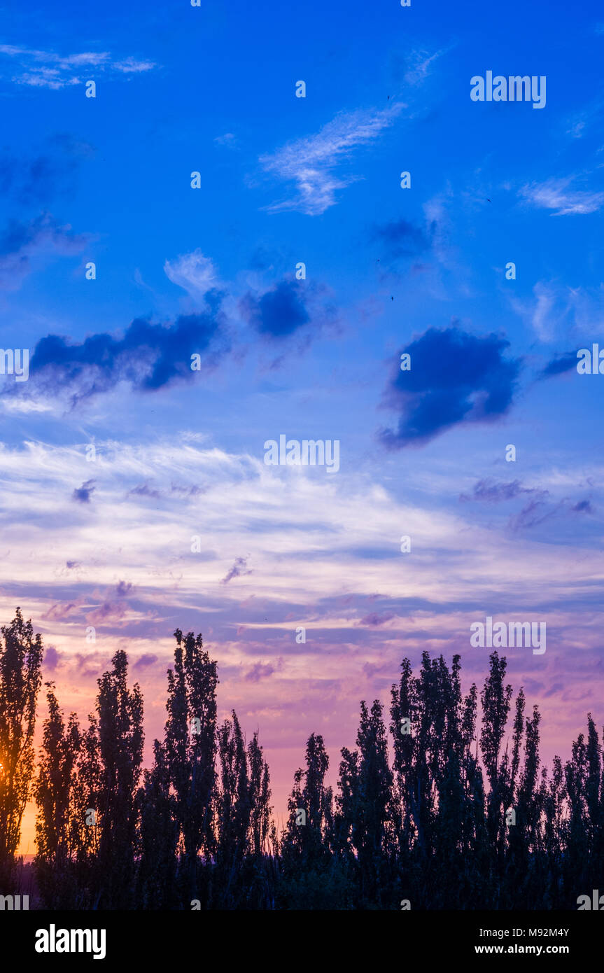 Landscape with dramatic light - beautiful golden sunset with saturated ...