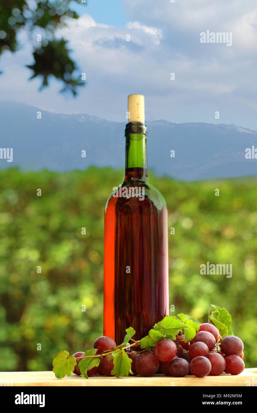 some delicacy for tatsy dinner Stock Photo - Alamy