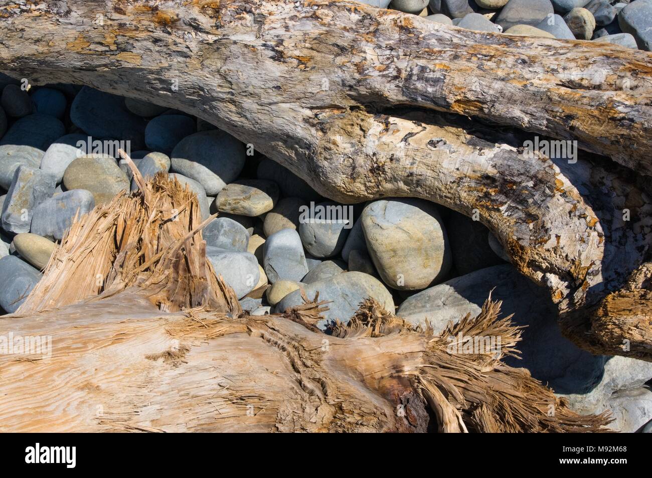 driftwood, washed up by the sea on a pebble beach Stock Photo - Alamy