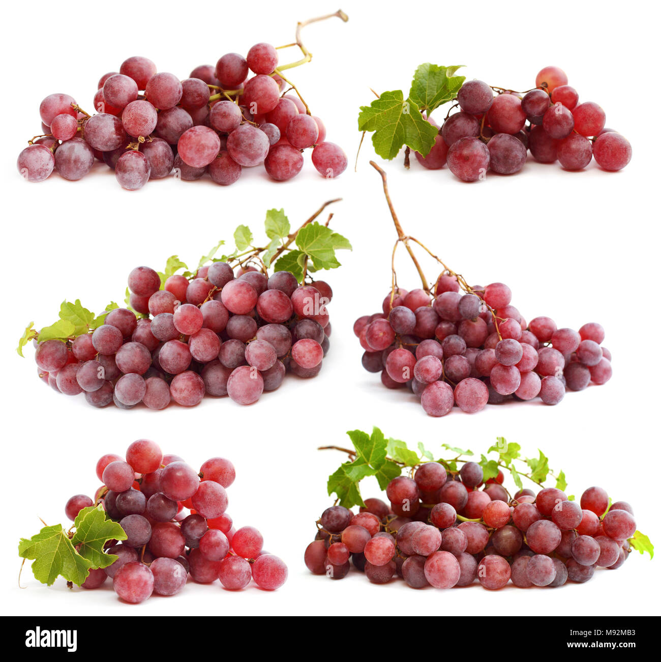 Grape of red wine isolated on white background Stock Photo - Alamy