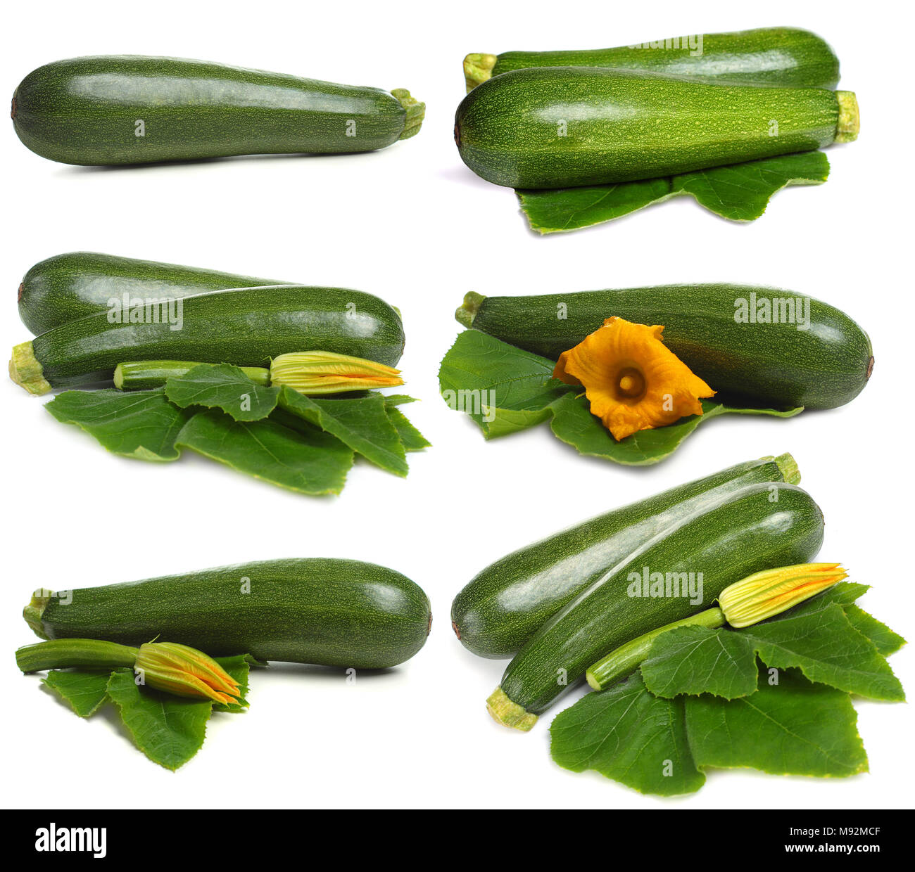 Zucchini vegetable set isolated on white background Stock Photo - Alamy