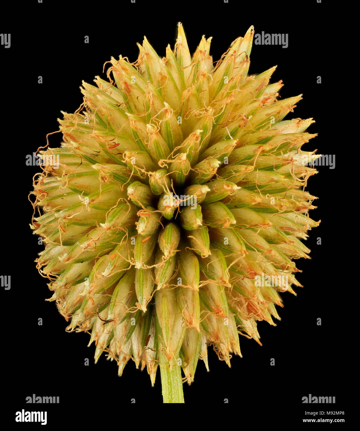 Stacker hi res hi-res stock photography and images - Alamy